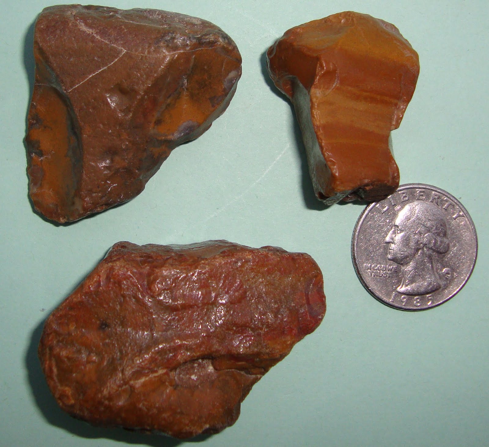 CSMS GEOLOGY POST: COLLECTING AT THE GATOROSA