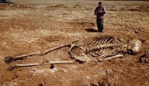 Giant Mummy Photographs