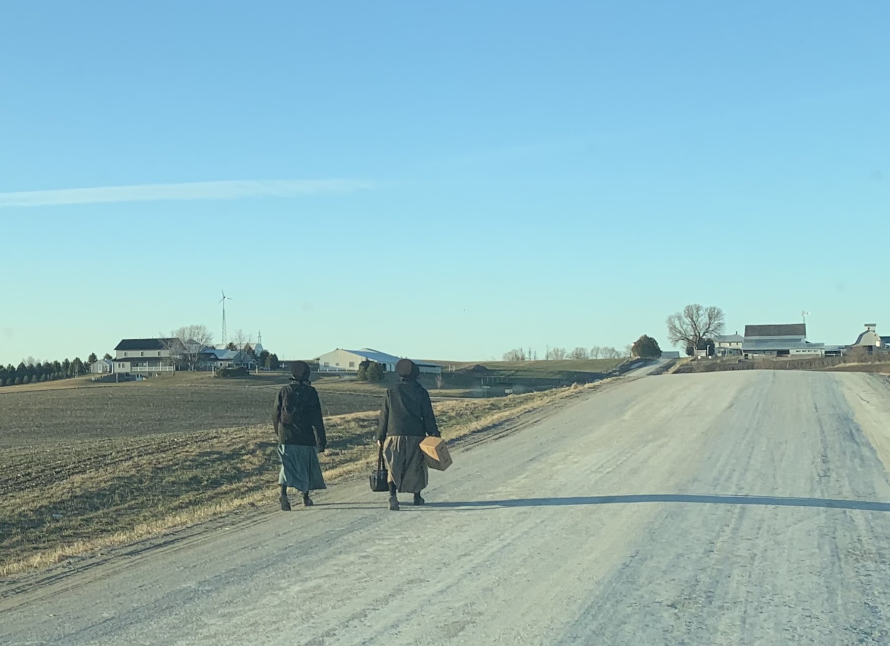 Amish Horses: Early Spring Amish Style