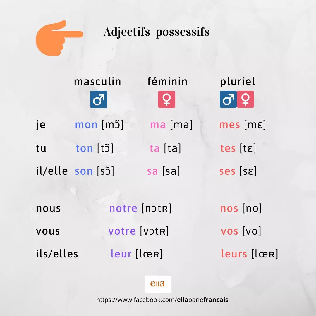 LA PROF DE FLE: Les adjectifs possessifs: vidéo
