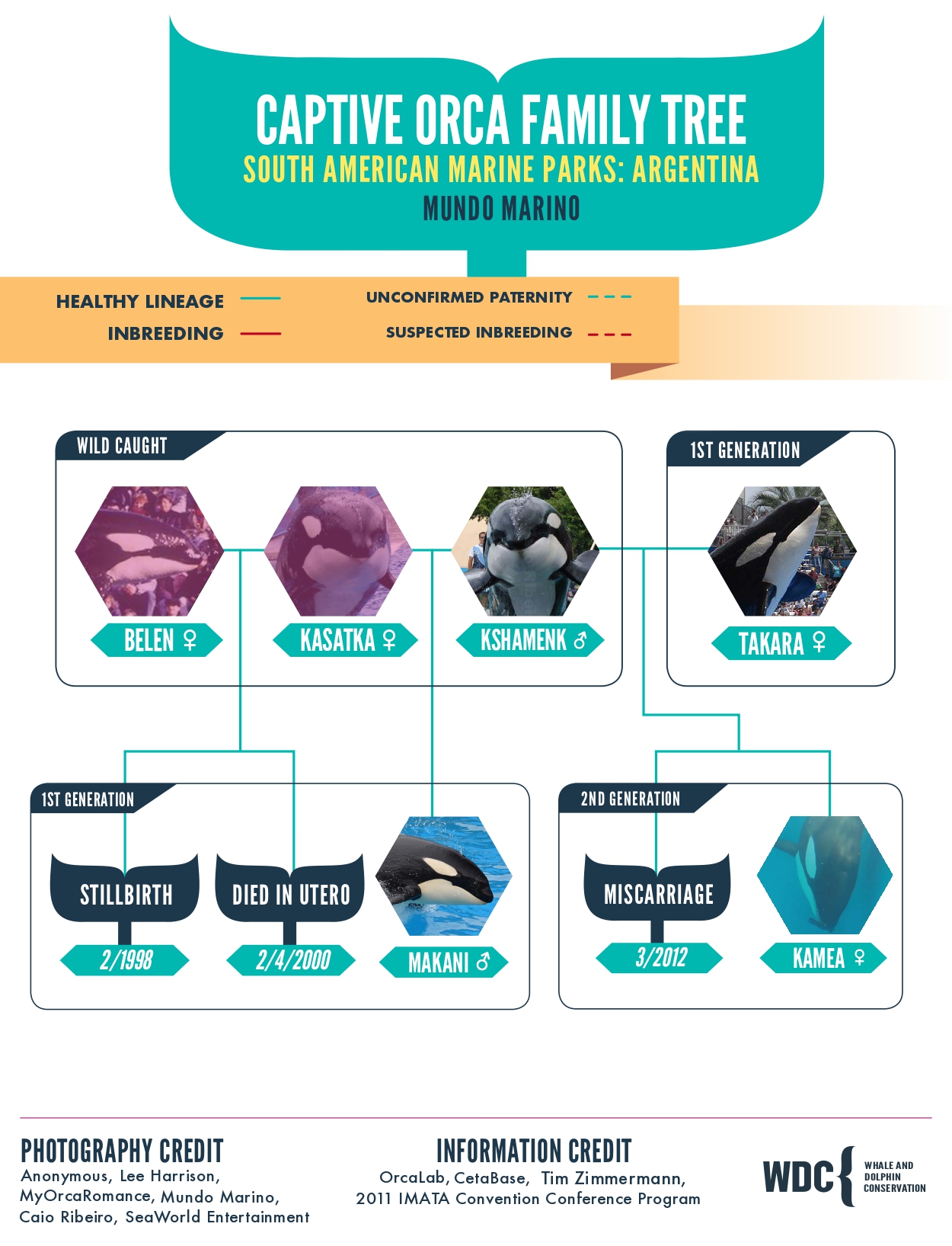 Orcas del mundo, en cautiverio