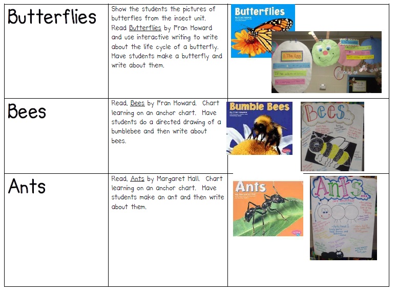 Insects Unit and a FREEBIE! - Mrs. Jump's Class