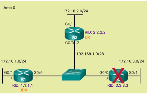 CCNA Complete Course: OSPF DR BDR Election Process | Types of OSPF networks