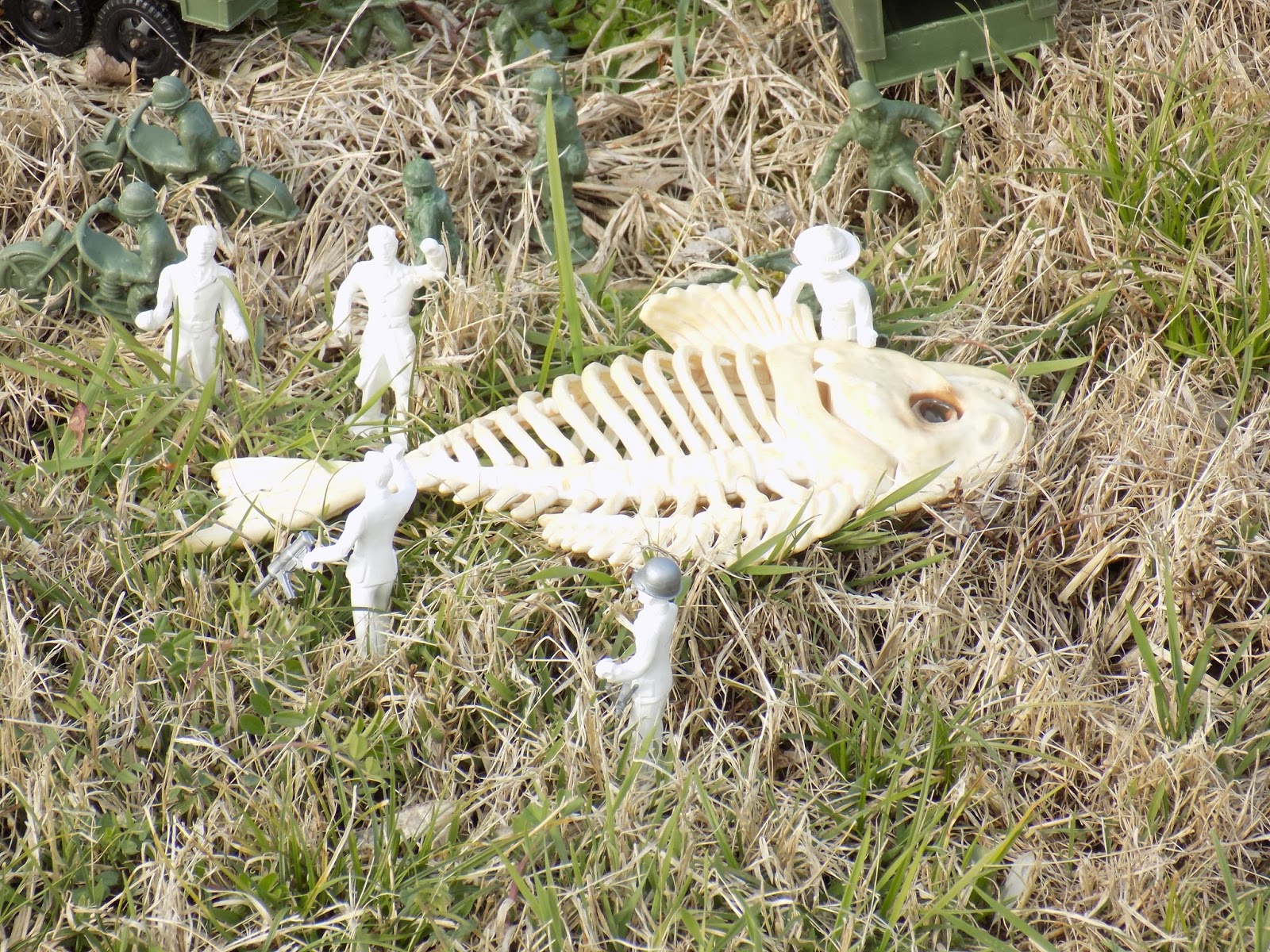 Bunker Talk: Army Fish