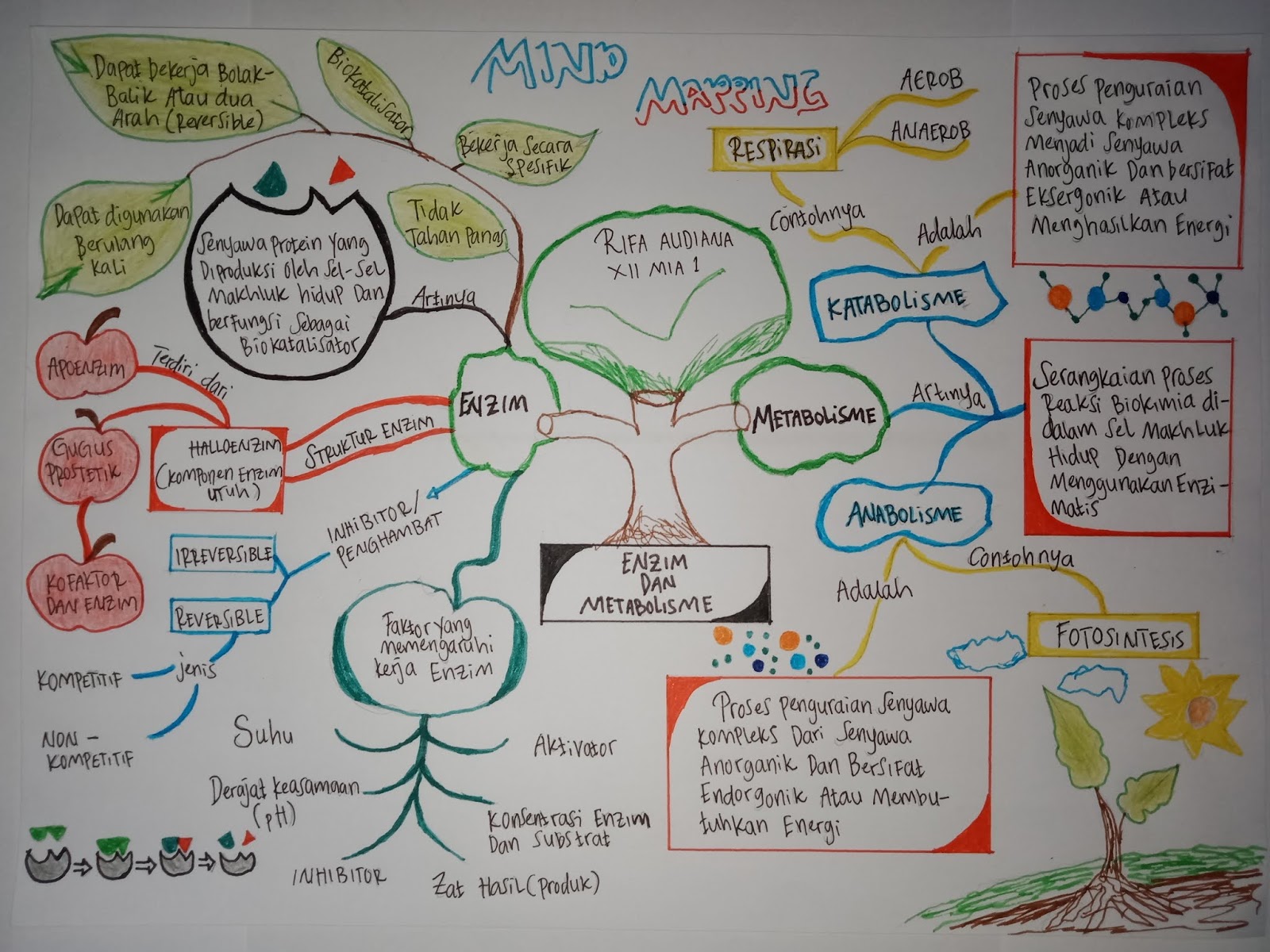 Tugas Mind Mapping Materi Enzim dan Metabolime Kelas XII MIA 1 - Kelas Biologi | Irfan Dani, S ...