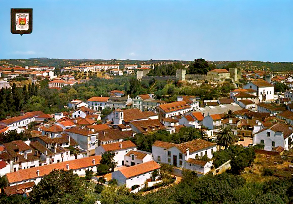 Retratos de Portugal: Torres Novas - Vista Parcial e Castelo
