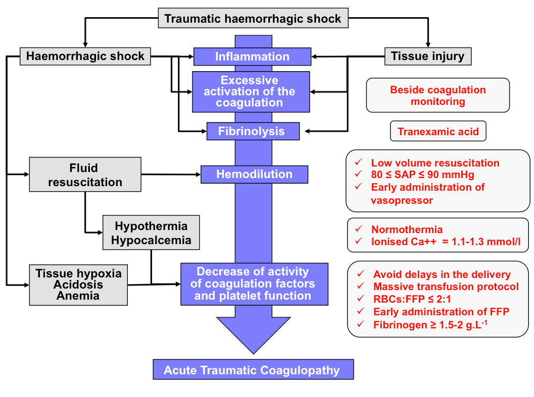 Manuali di Medicina Intensiva: Coagulopatia nel trauma - introduzione ...