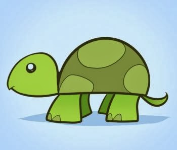 Rules of the Jungle: Few Pictures of Turtles For the Kids