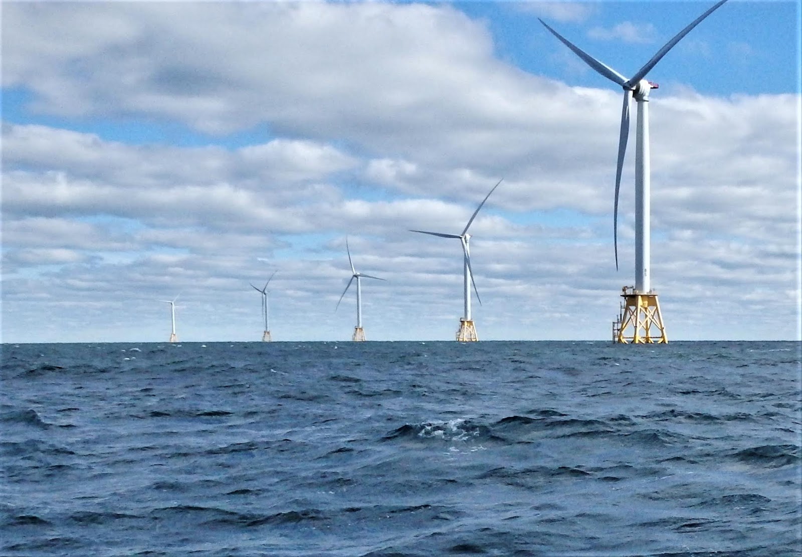 no fluke fishing: We need fresh fish and ocean wind farms