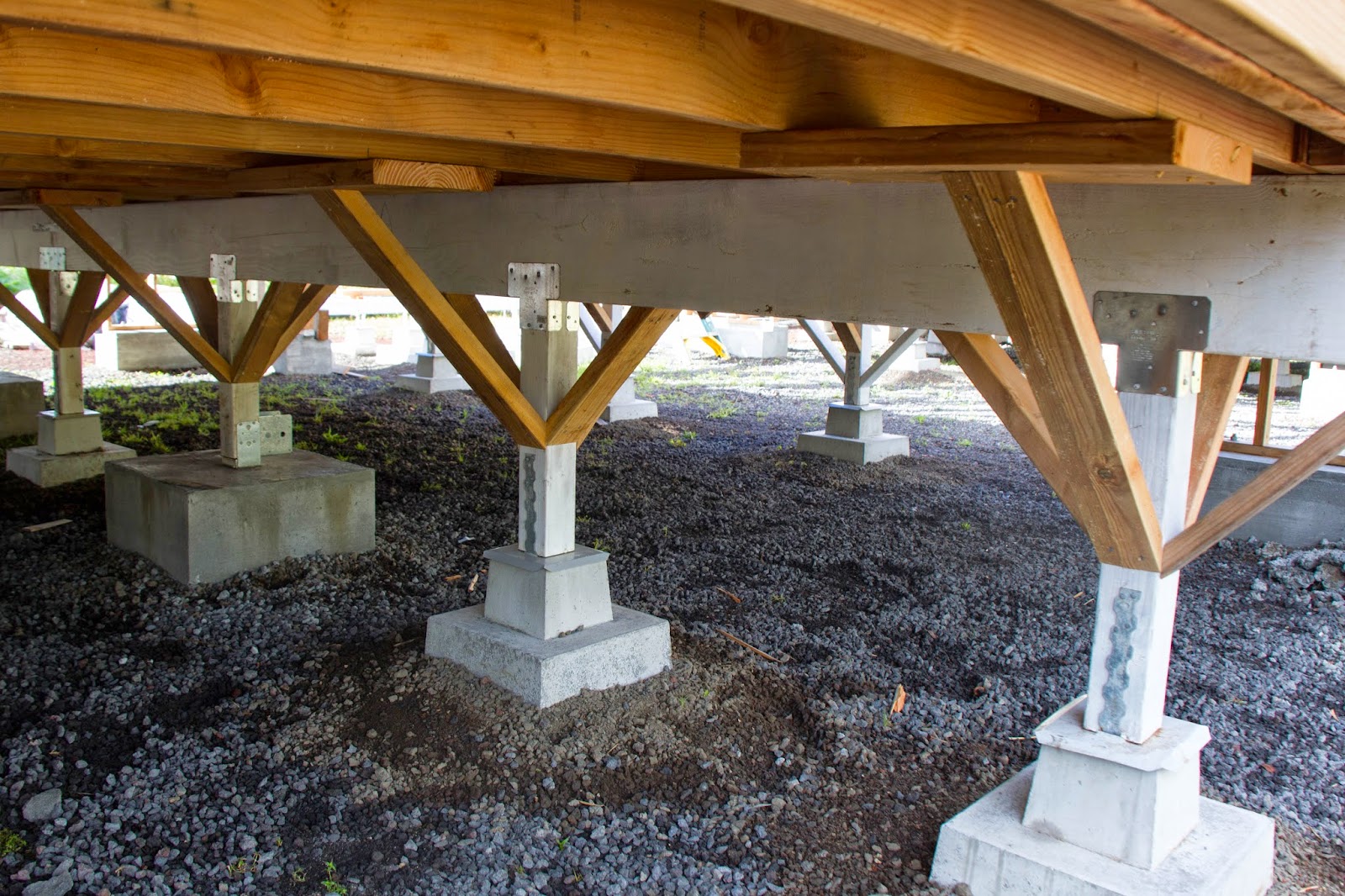 Big Island Living: Framing and Ohia Post Preparation