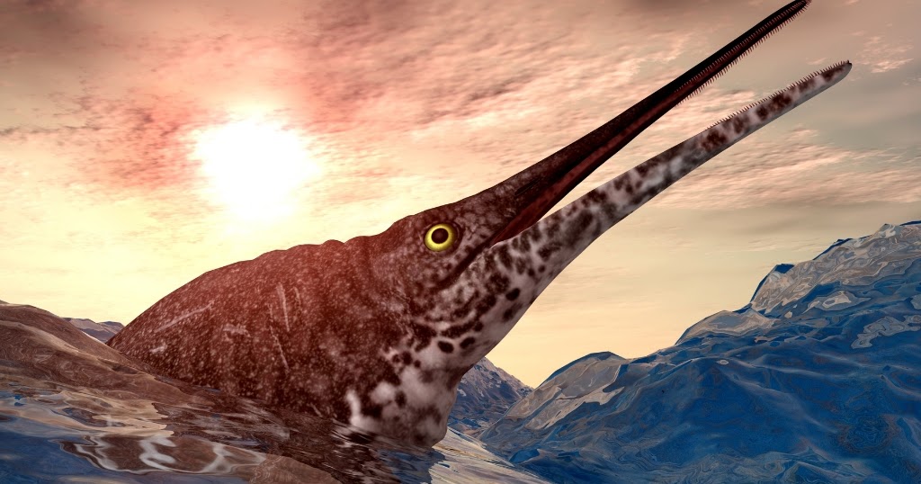 FOSSIL HUNTRESS: SHONISAURUS SIKANNIENSIS