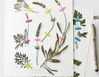 How to Make a Pressed Herb Wall Decor and other DIY Wonders - Crafts a ...