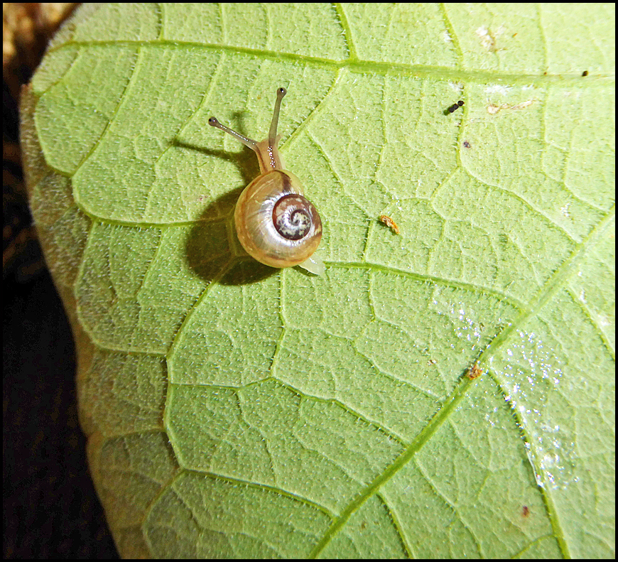 Wild and Wonderful: September 2015