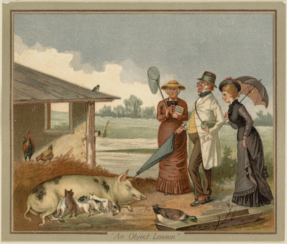 Althouse: Object lesson.