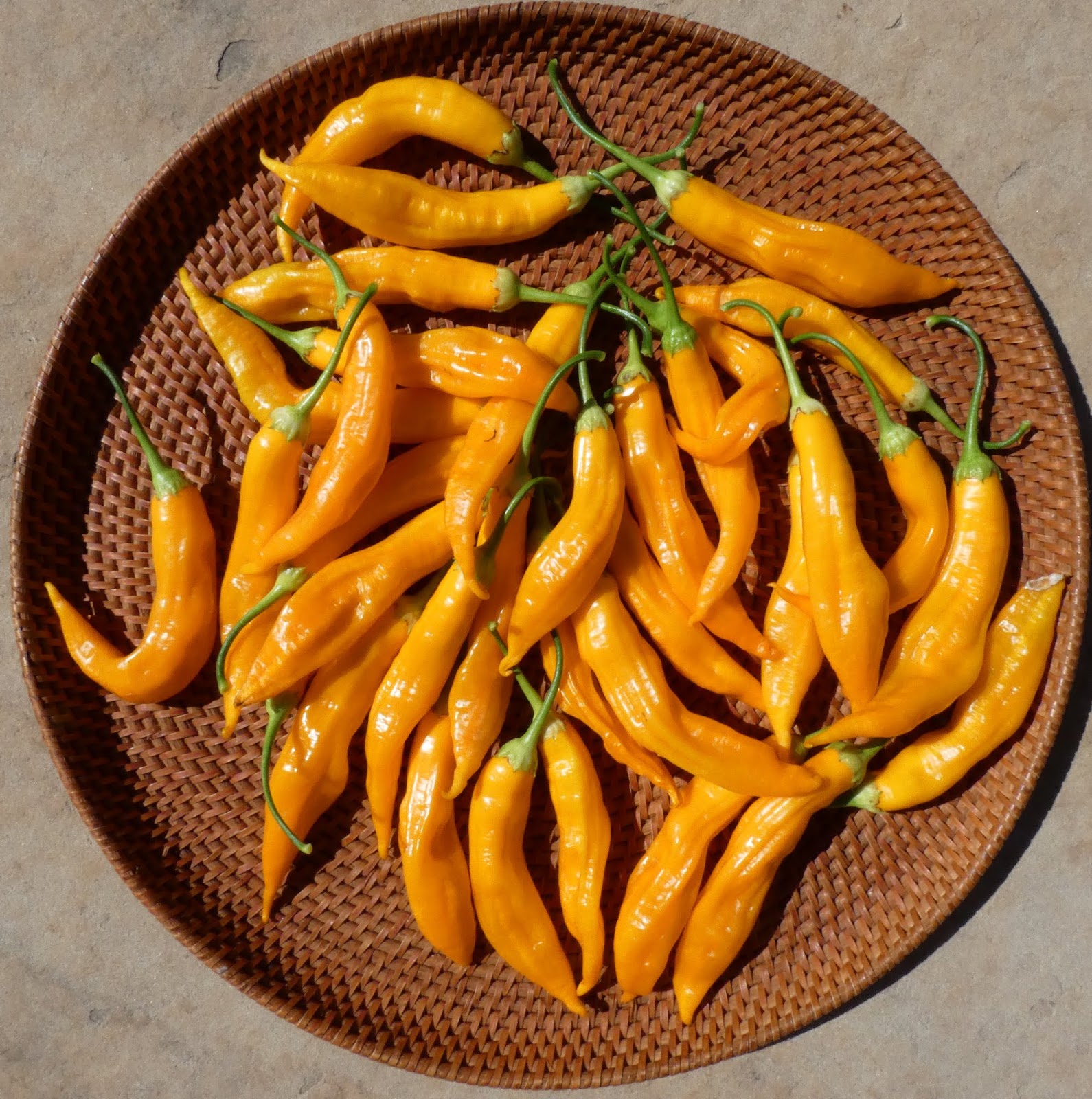 From Seed To Table: Harvest Monday - September 24, 2108