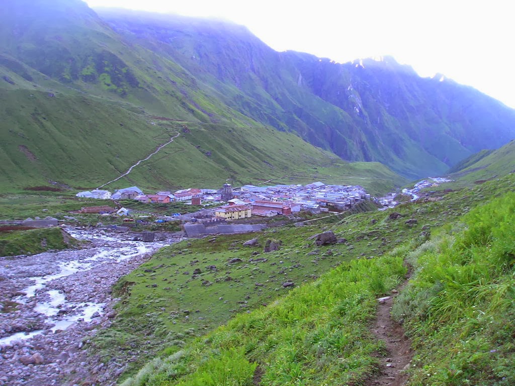 precious peace: SAVE KEDAR - Project presentation