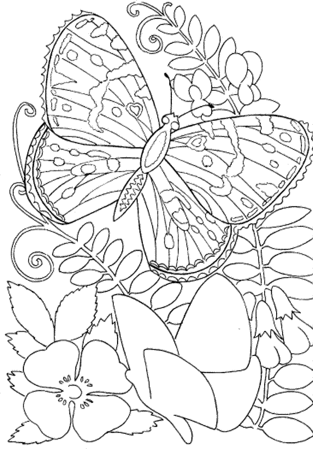 Free Coloring Pages To Print Out ~ Coloring Pages