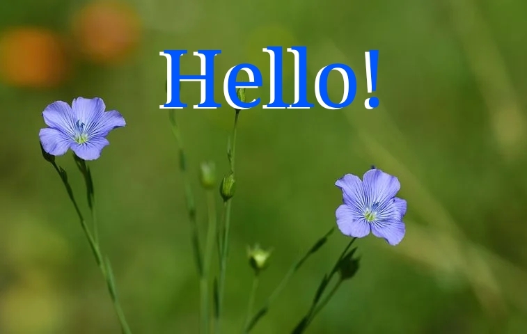 Top 10 Hello Images, Photos, Pictures, Greetings for WhatsApp - Good ...