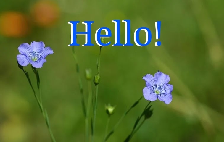 Top 10 Hello Images, Photos, Pictures, Greetings for WhatsApp - Good ...