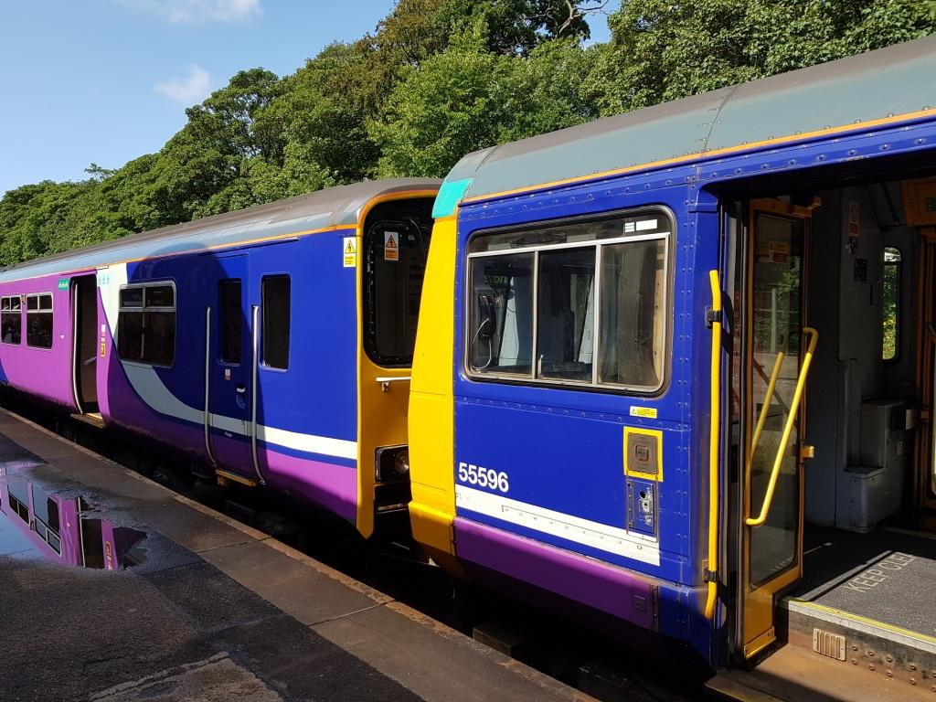 The Ham and Egger Files: Farewell Pacer Railbus 142005