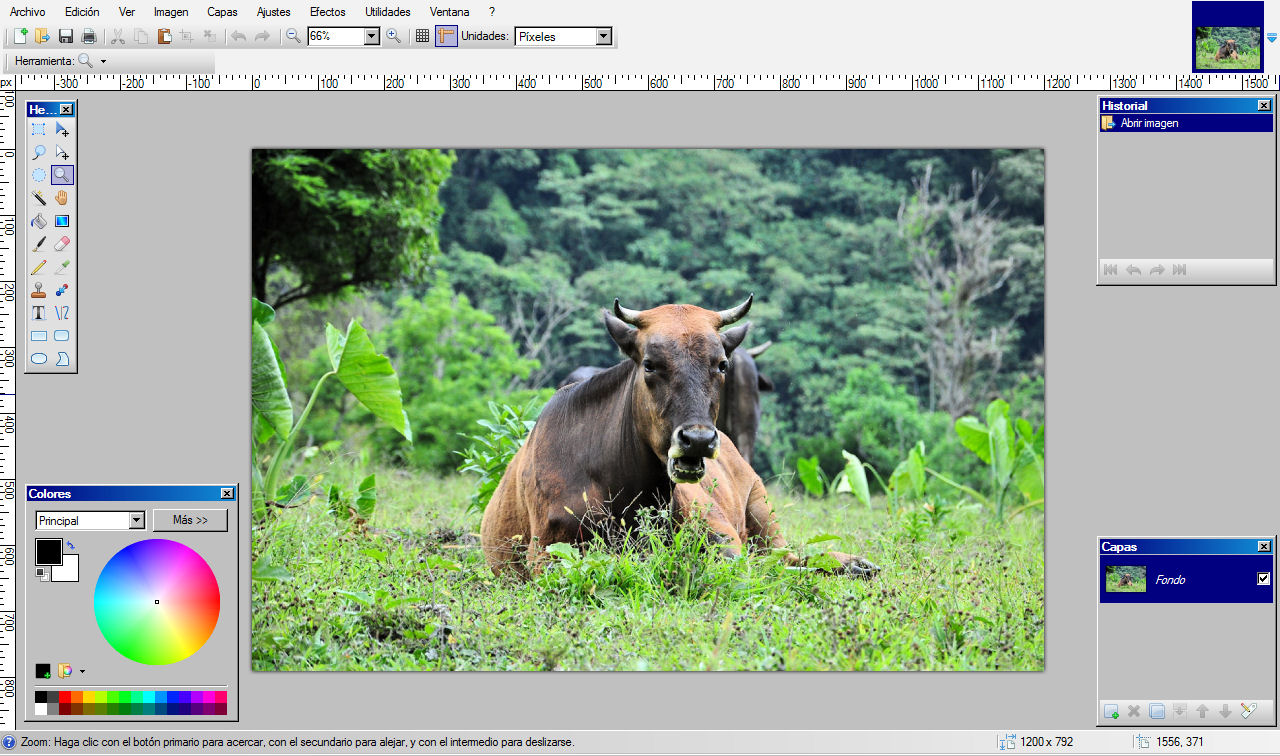Banco de Imágenes Gratis: Paint.Net (Software del Año para Fotografía ...