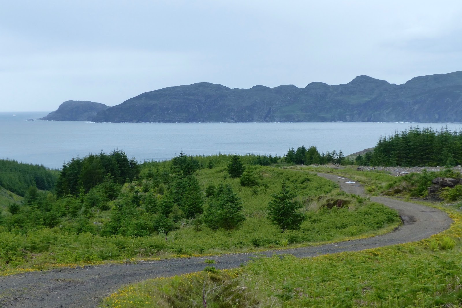 A Kilchoan Diary: Ardmore