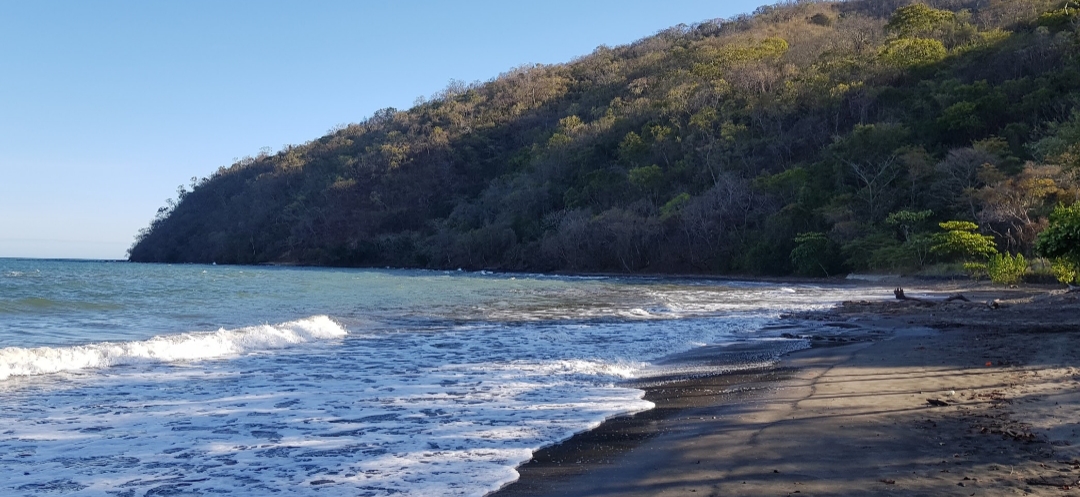 Tonosí Valle Querido: BUCARO