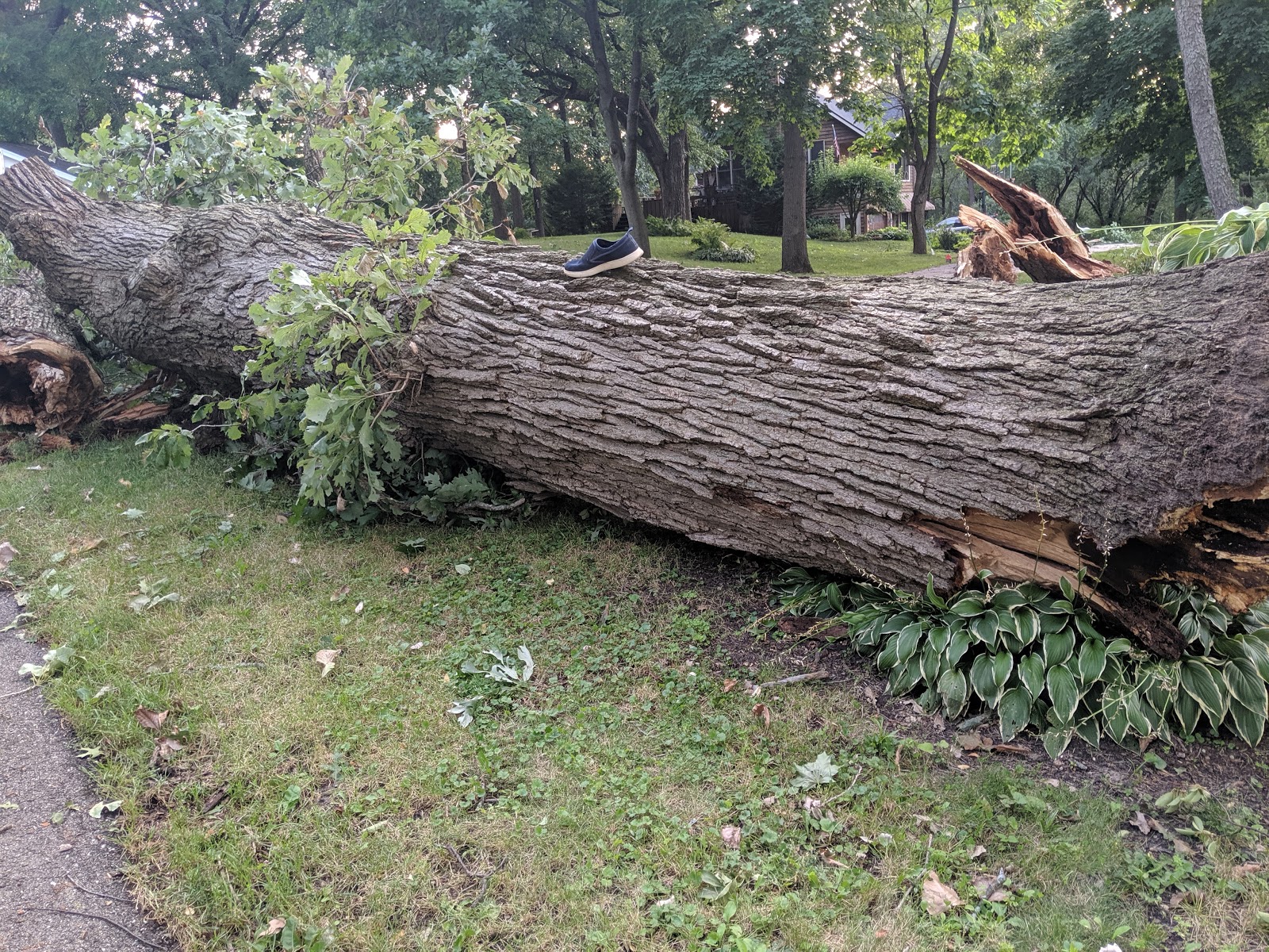 Storm Damage - Twin Lakes, Wisconsin (Microburst)
