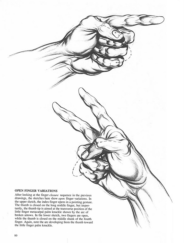 Anatomie Artistica BURNE HOGARTH & Gheorghe Ghitescu: BURNE HOGARTH ...