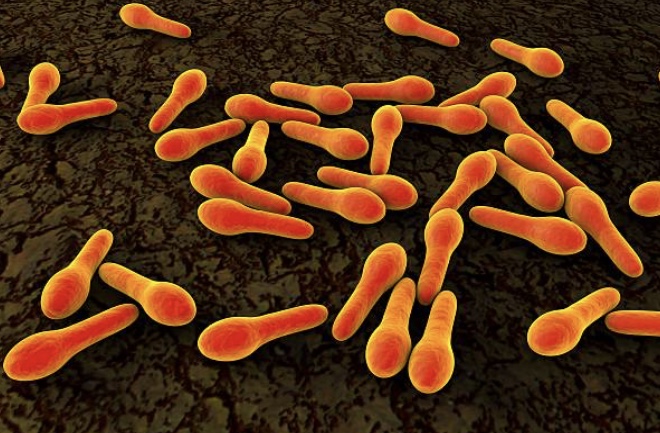 Microbiologia IFRJ - Campus Rio de Janeiro: Aptidões de um patógeno: Tétano