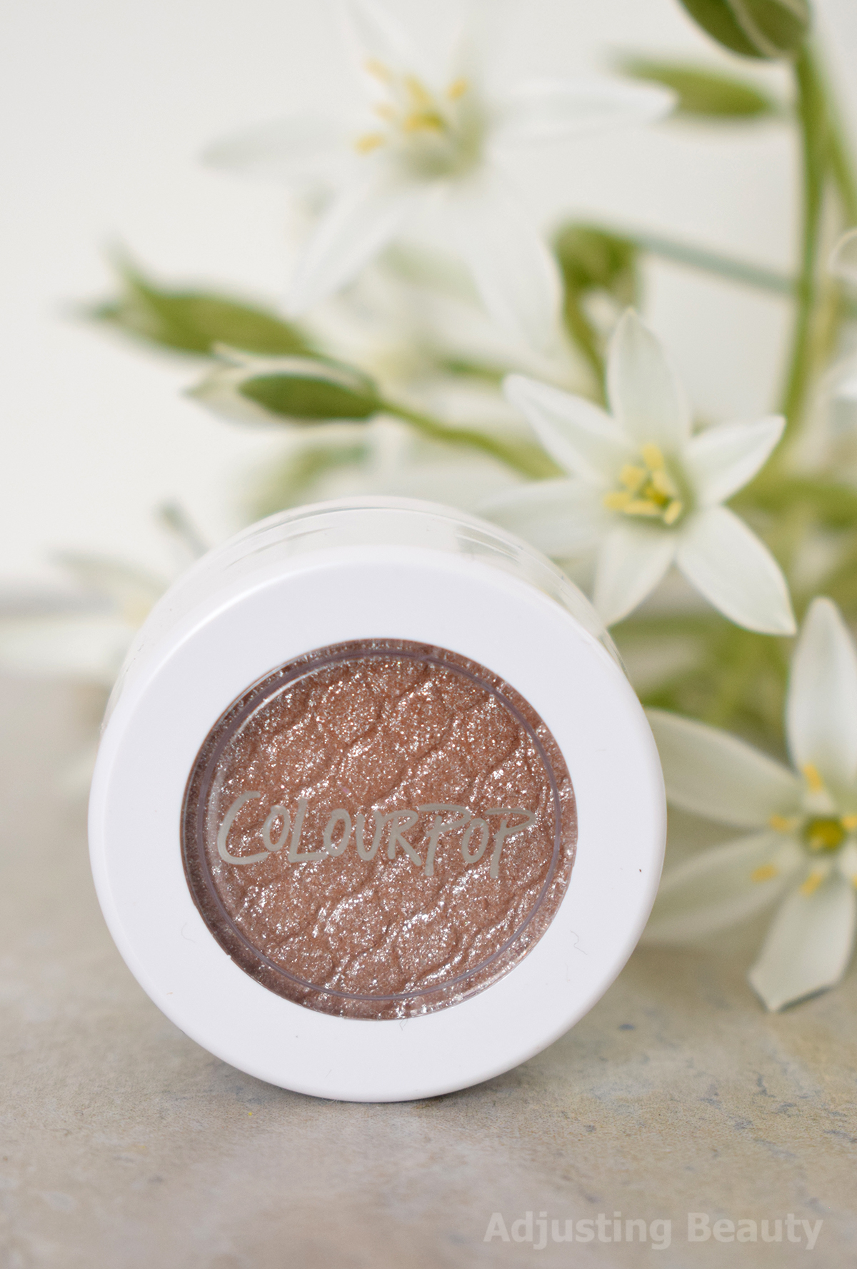 Review: Colourpop Super Shock Shadow - Ritz and Mycelium - Adjusting Beauty