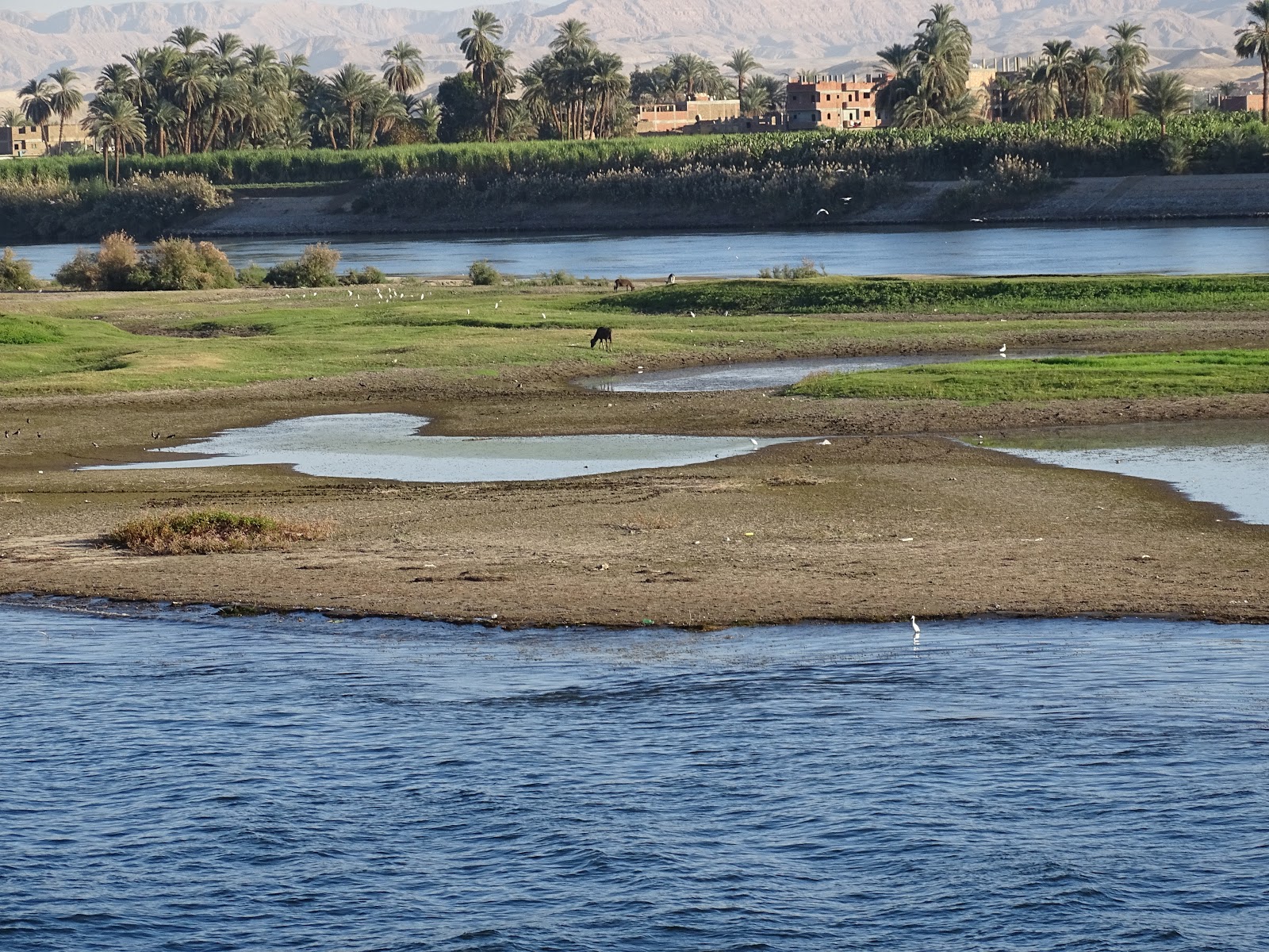 TRAS LAS HUELLAS DE HERÓDOTO. . . : EGIPTO EL DON DEL NILO.