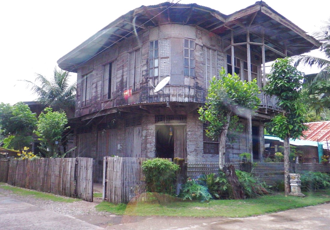 Macrohon Discoveries