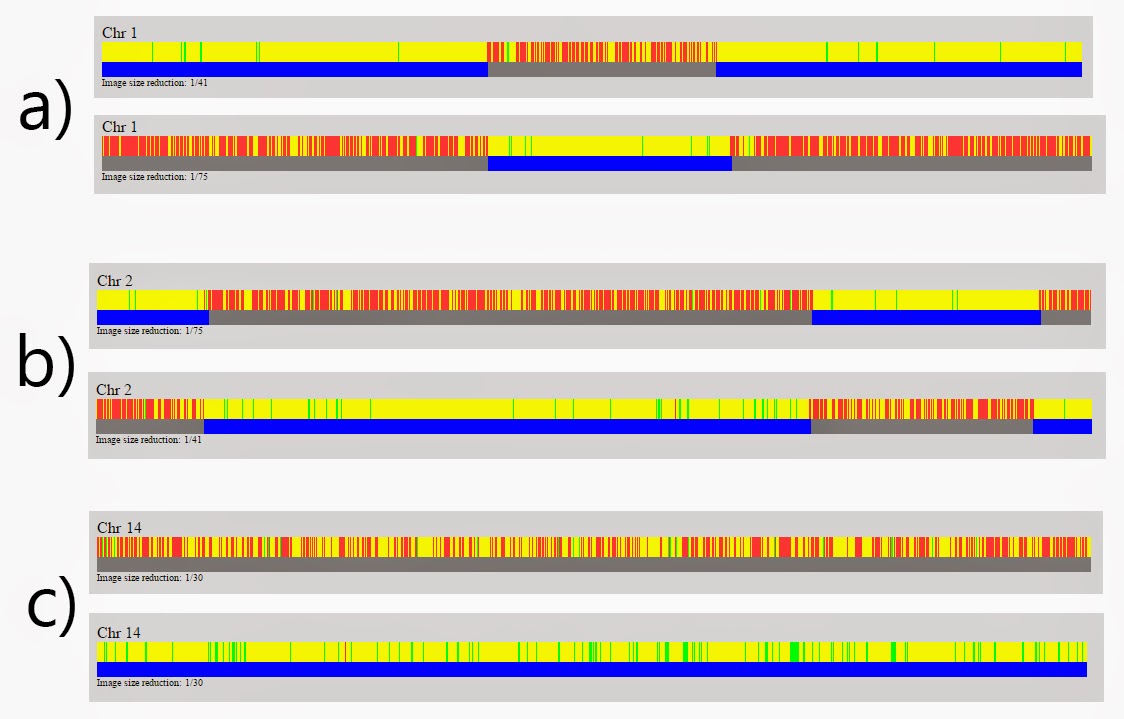 OriginsDNA - Genetic Genealogy: Getting More From Your Autosomal DNA ...