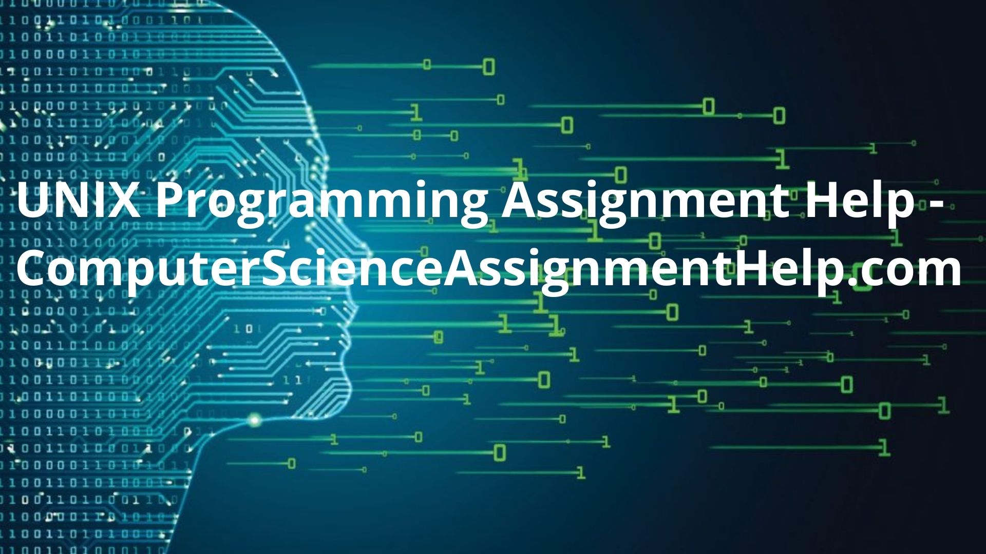 P Programming Language Assignment Help