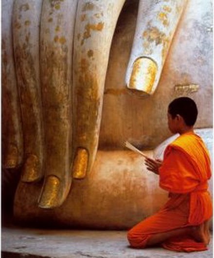 Bow the Buddha - Namo Amitabha Buddha