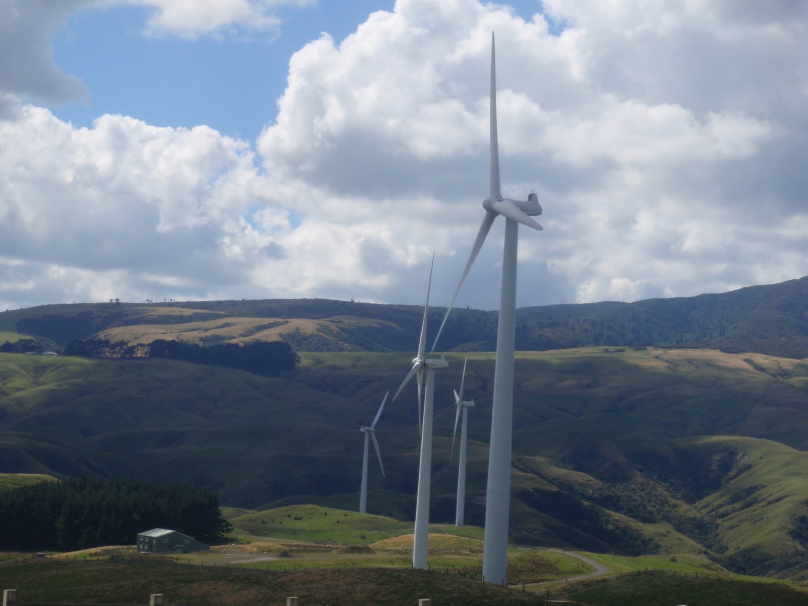 An Adventure in New Zealand: Manawatu Wind Farms