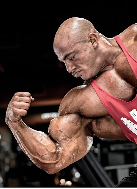 Muscle Lover: Biceps & Biceps by IFBB Pro Mamdouh "Big Ramy" Elssbiay