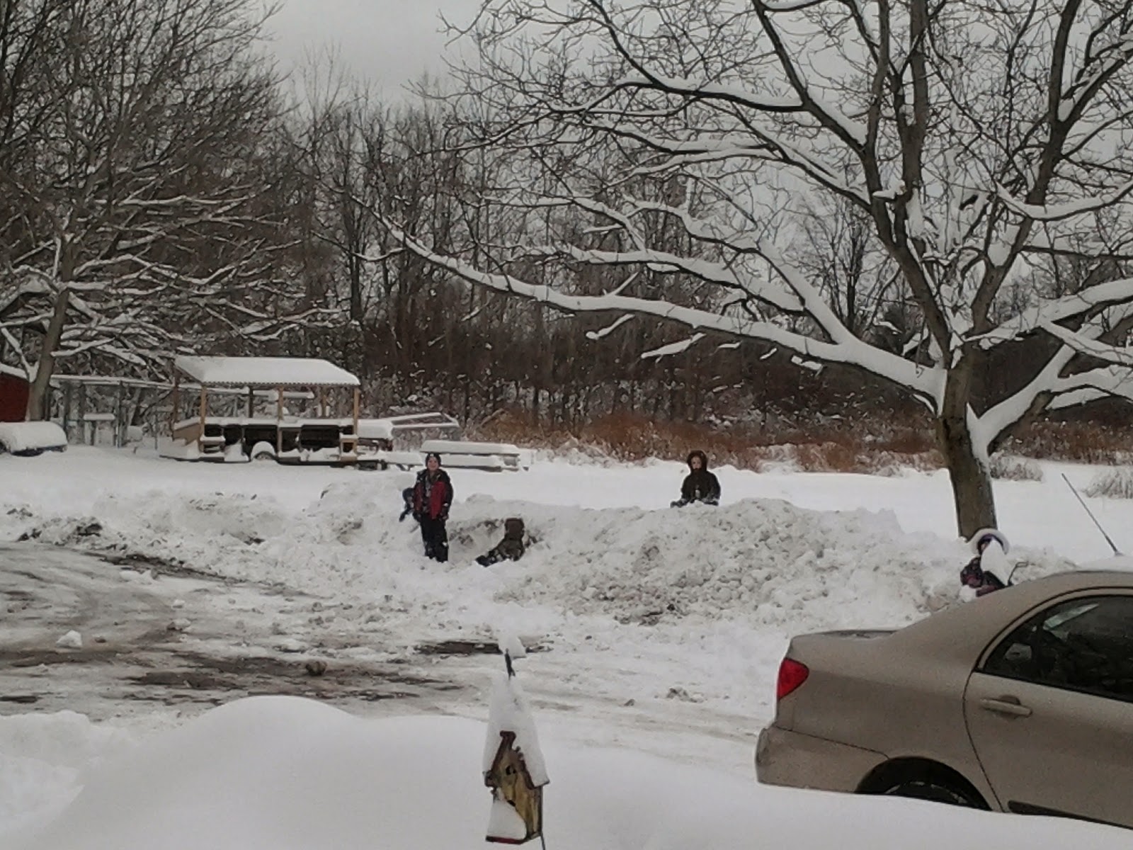 Yankee-Belle Cafe: How to Make Cream Puffs... And Delight Everyone!