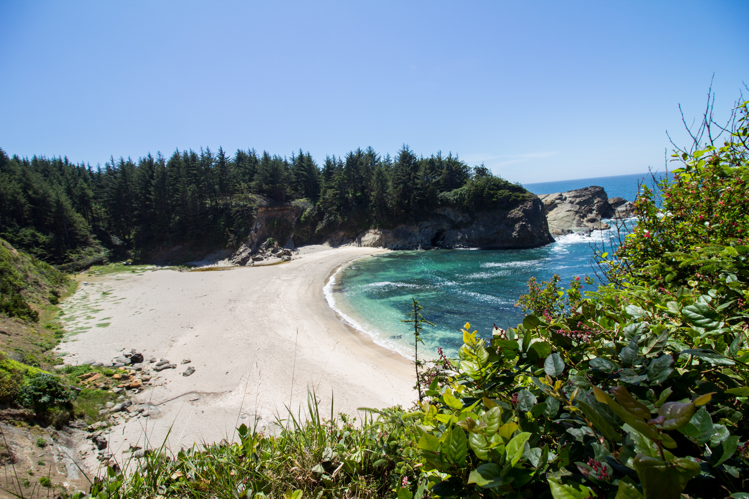 Sunset Bay State Park Tide Pooling At Cape Arago