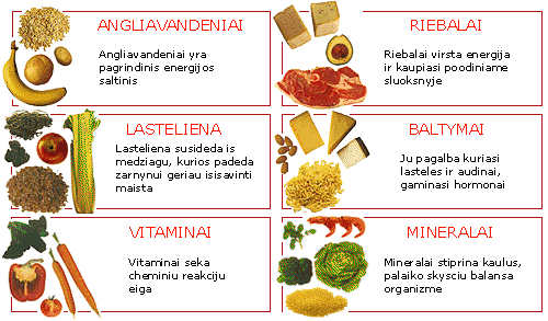 SPORTININKŲ MITYBA: Maistingų medžiagų rūšys