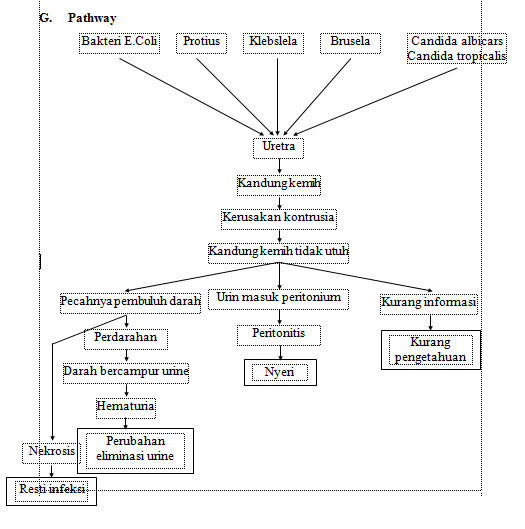 PENGERTIAN ISK | SUKSES