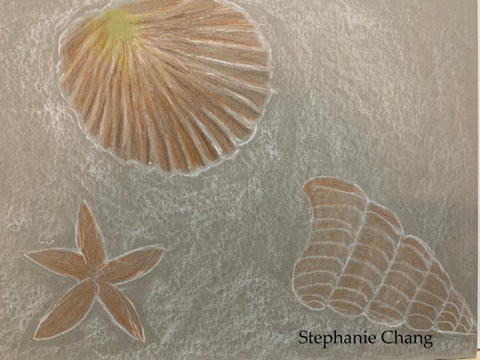 teaching art: Drawing, CLASS 7 ..... 4/13/2021