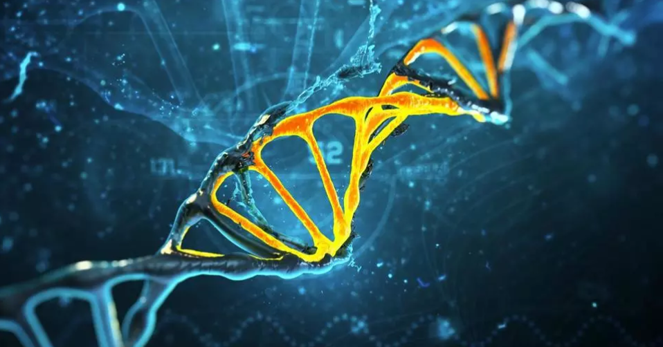 Study Suggests Trauma Is Carried in DNA