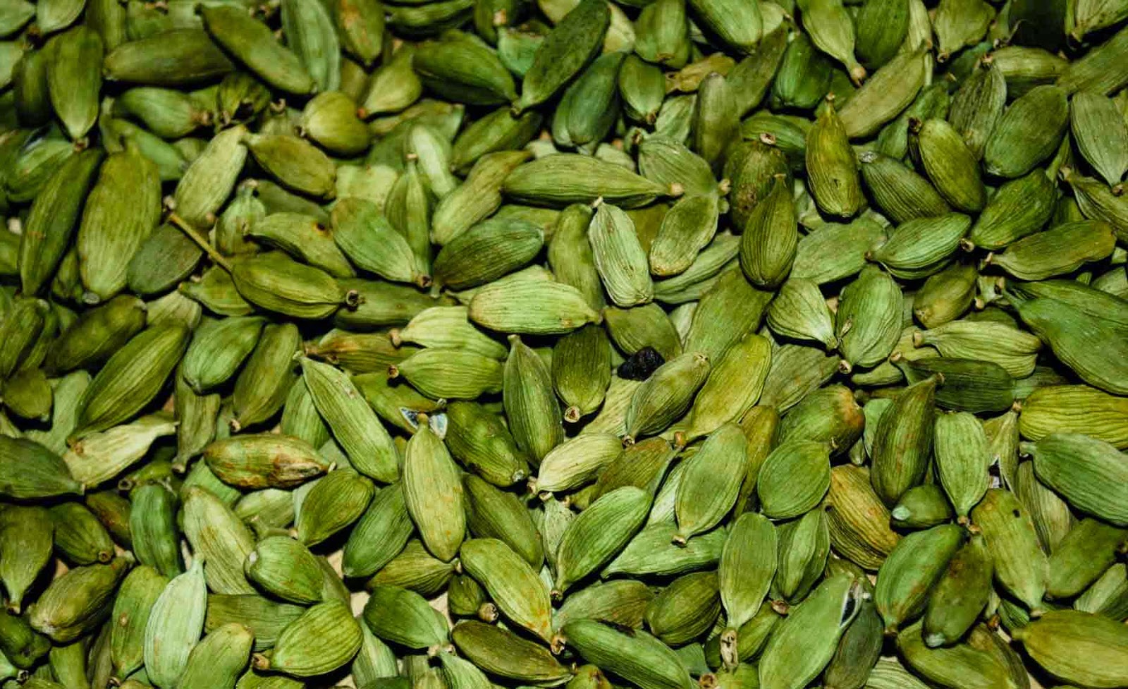Cardamom _Queen of Spices