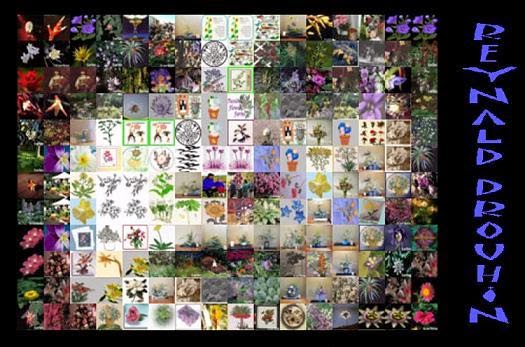 Blog Dani: ¿Qué es el Net Art?