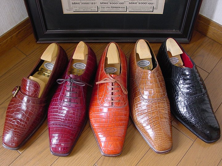 The Shoe AristoCat: Exotic leather shoes (Croco)