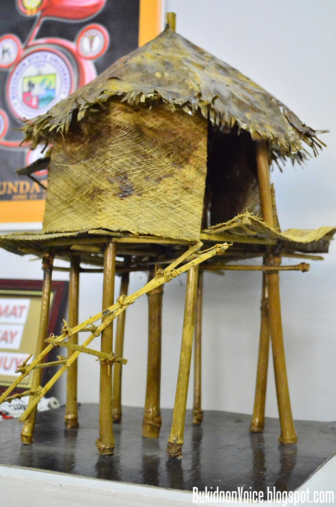The Bukidnon State University Museum