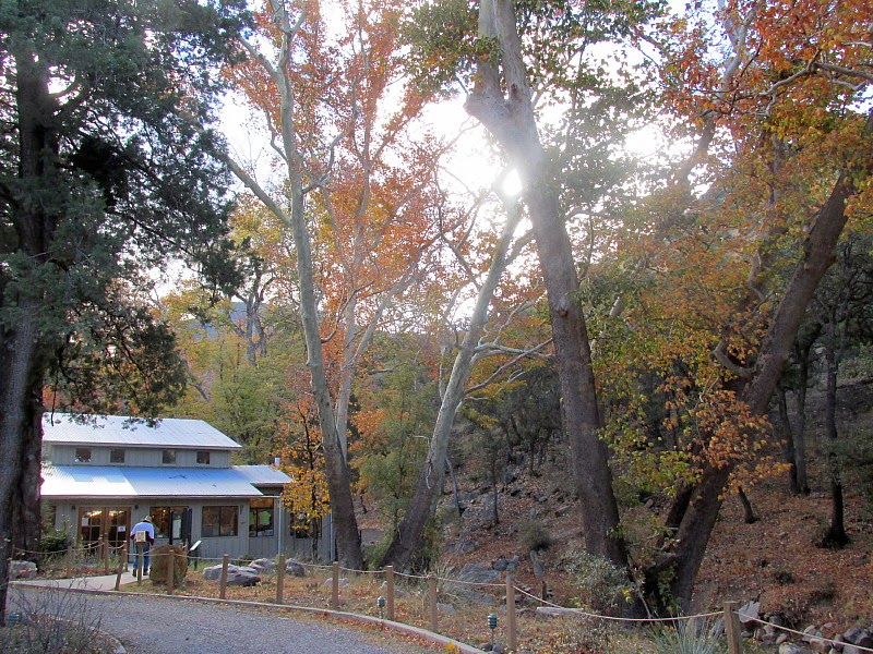 Outpost Mâvarin: Round Robin: True Colors of Autumn - in Southern Arizona?