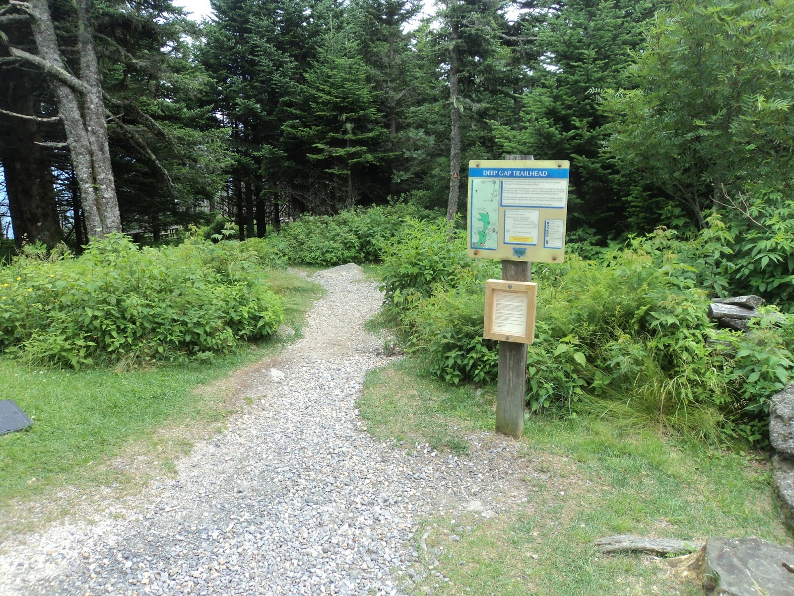 Parking Full Time Hiking Trail Journal: Mount Mitchell State Park ...